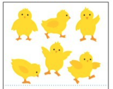 CHICKS STICKERS - The Toy Box